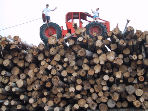Delivery Area – J&R Firewood